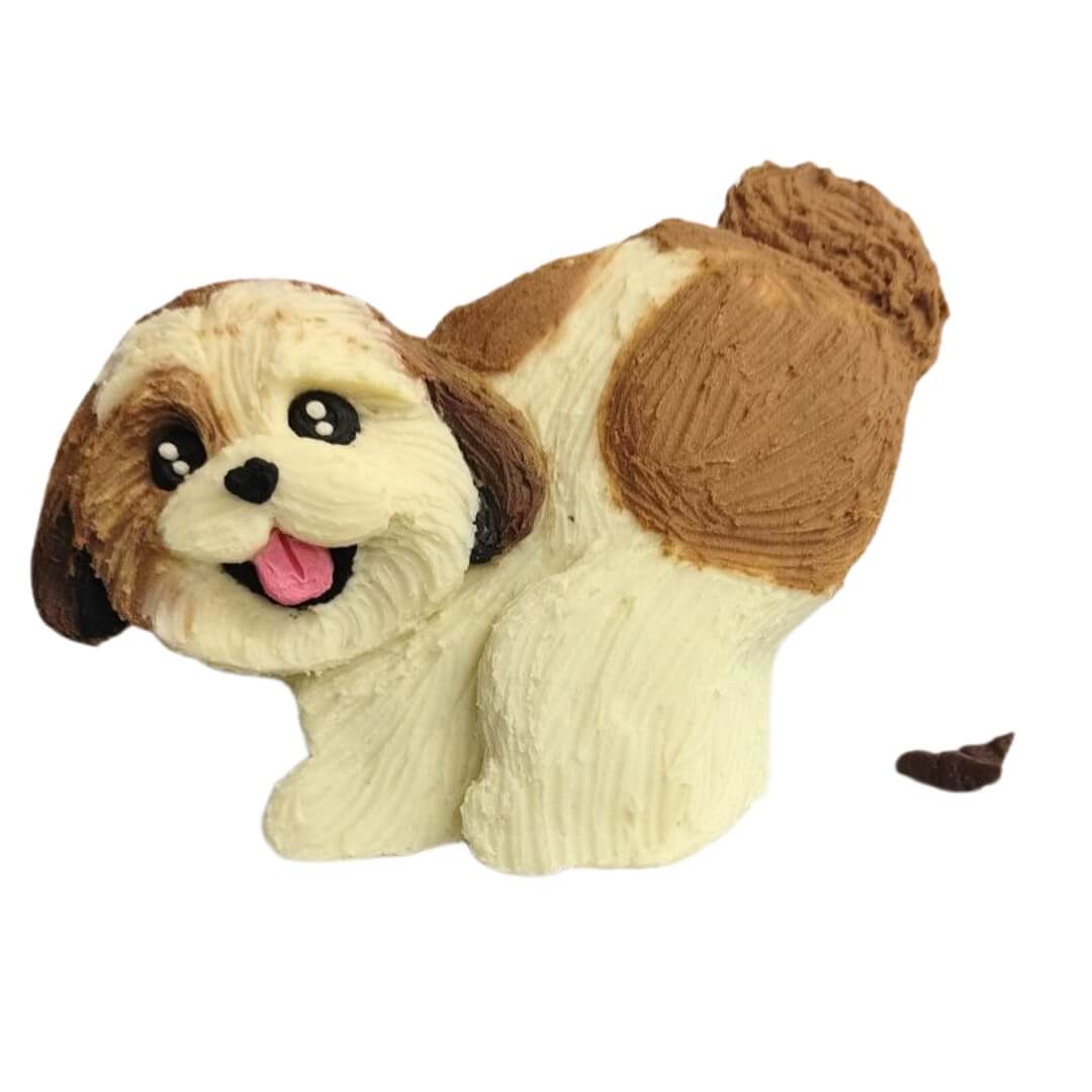 Oopsie Poopsie - Custom Cake for Pets – Make and Bake for Pets