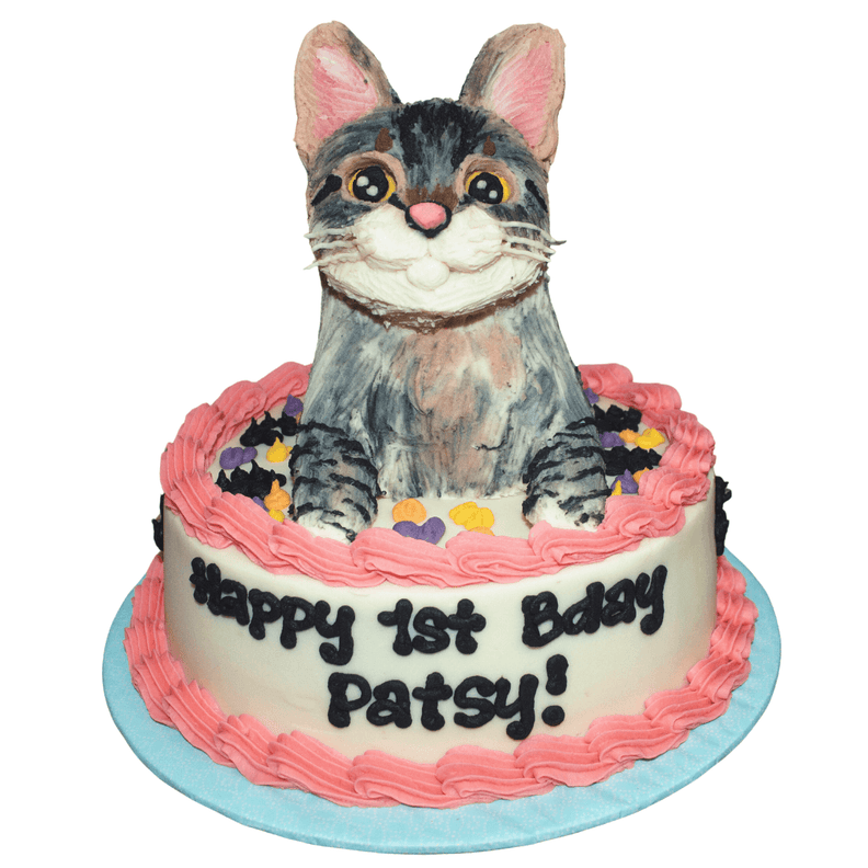 Make and Bake for Pets | Pet Bakery - Custom Cakes for Pets