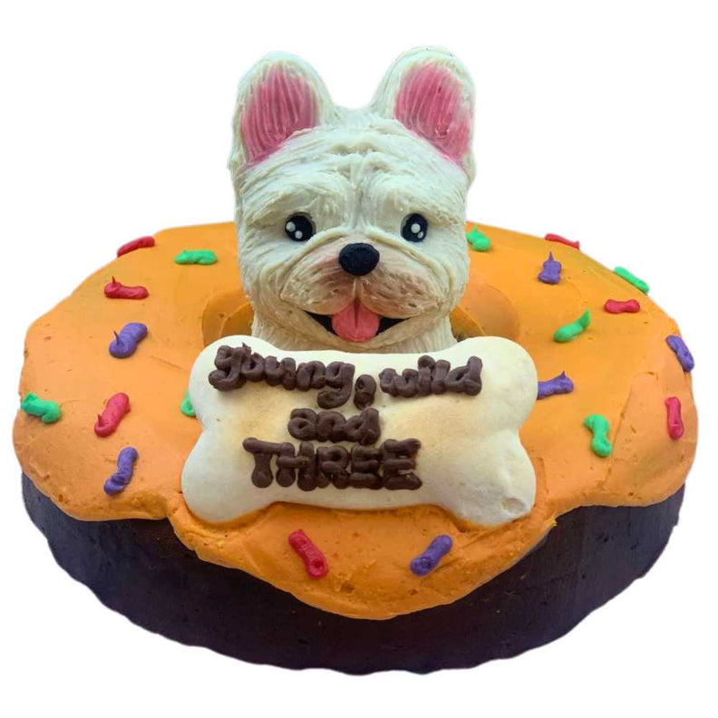 Make and Bake for Pets | Pet Bakery - Custom Cakes for Pets