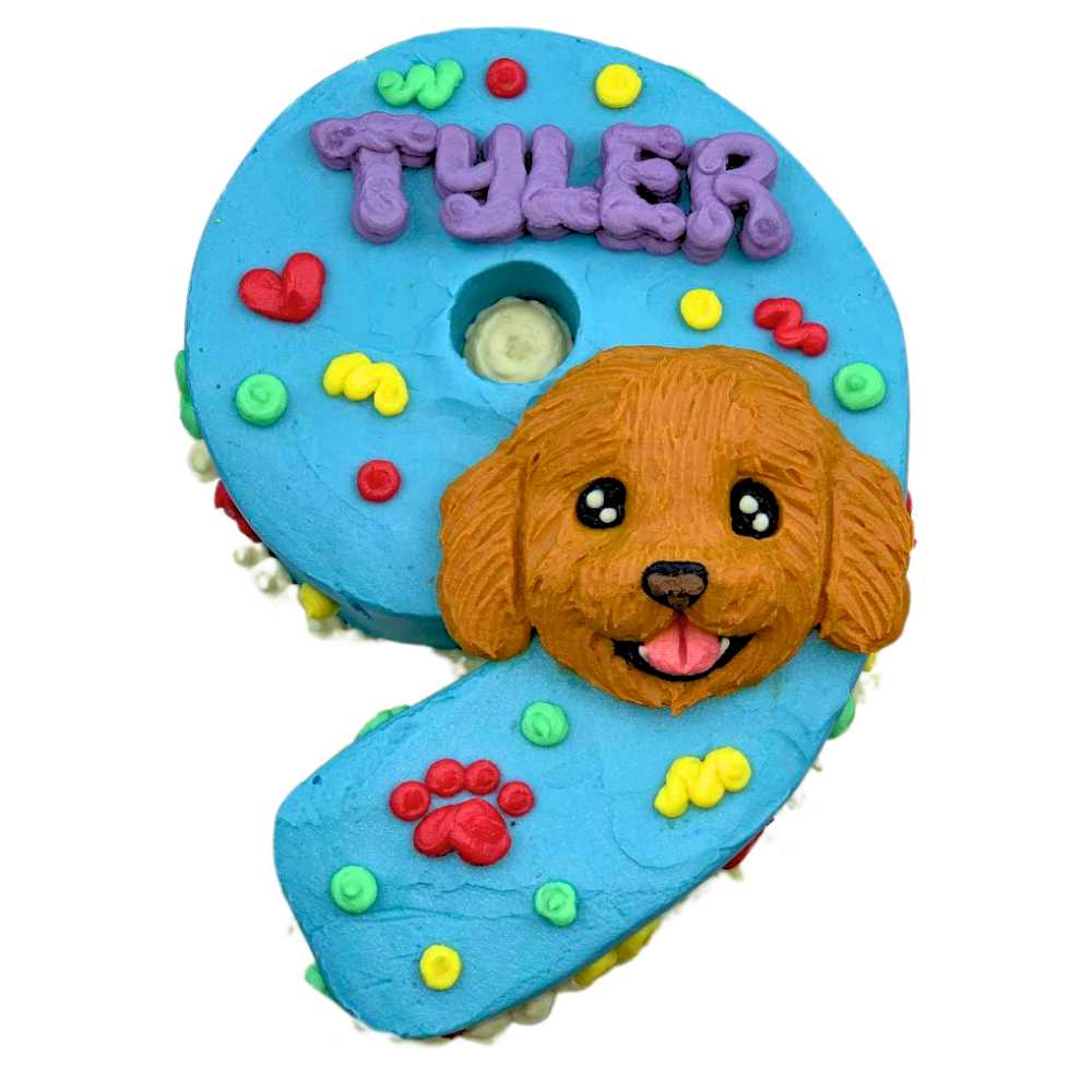 Make and Bake for Pets | Number Cake with Pet Portrait - 4 inches