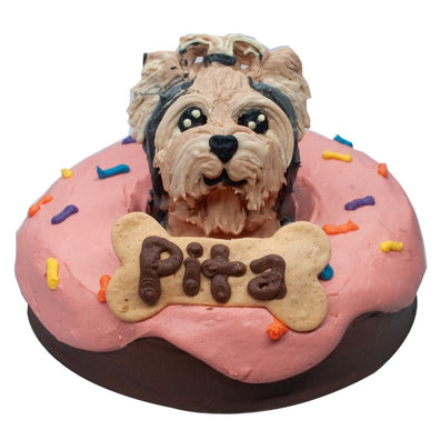 Make and Bake for Pets | Pet Bakery - Custom Cakes for Pets