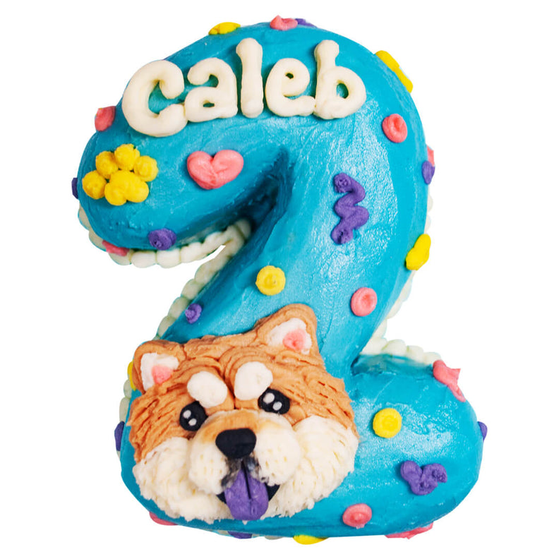 Make and Bake for Pets | Pet Bakery - Custom Cakes for Pets