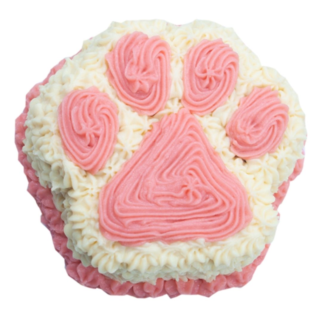 4in Pink Paw Cake for Pets – Make and Bake for Pets